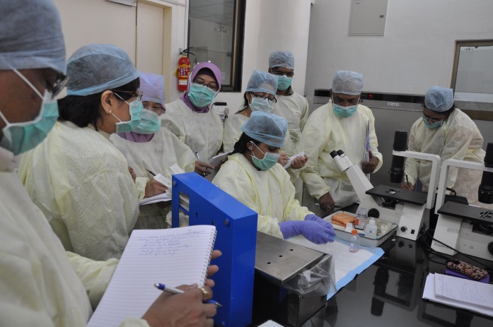 The Global Polio Laboratory Network – GPEI